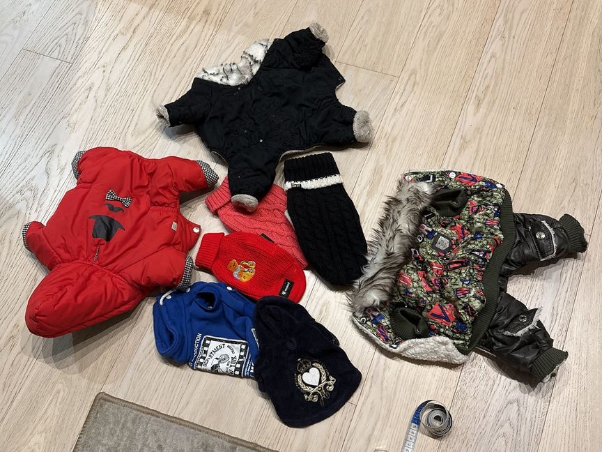 Одежда для собак мелких пород