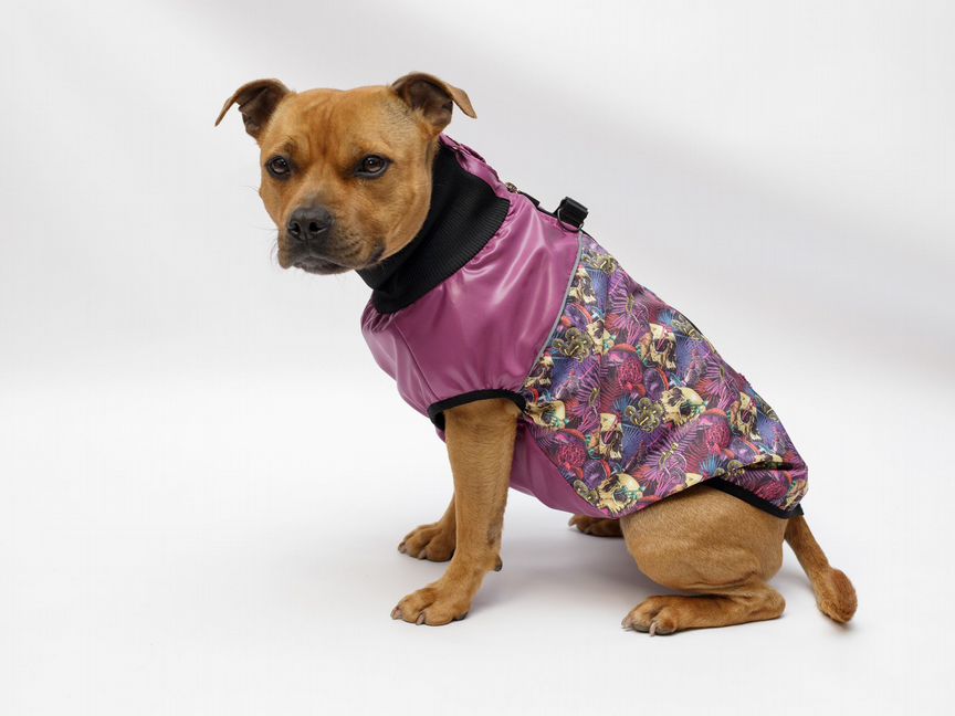 Жилетка для собак