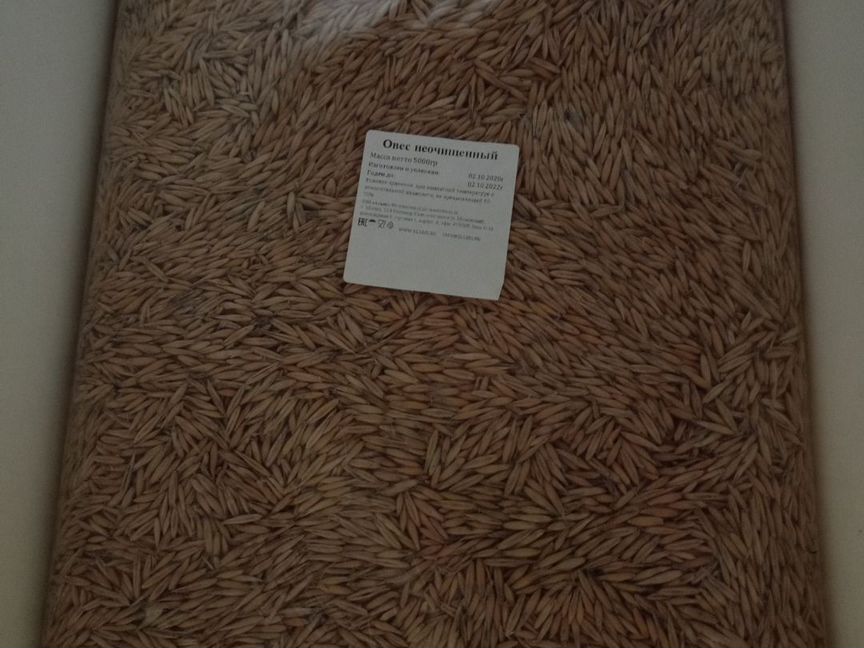 Овёс неочищенный в мешках