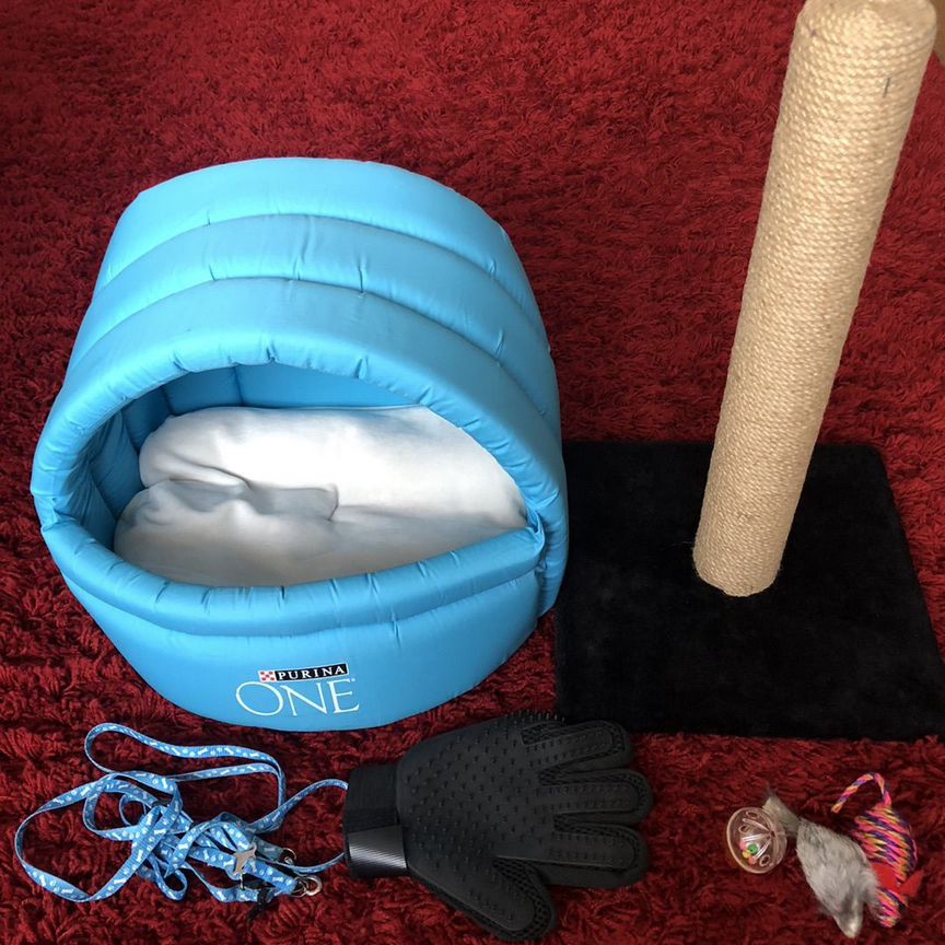 Домик лежанка когтеточка перчатка-вычес для кошки