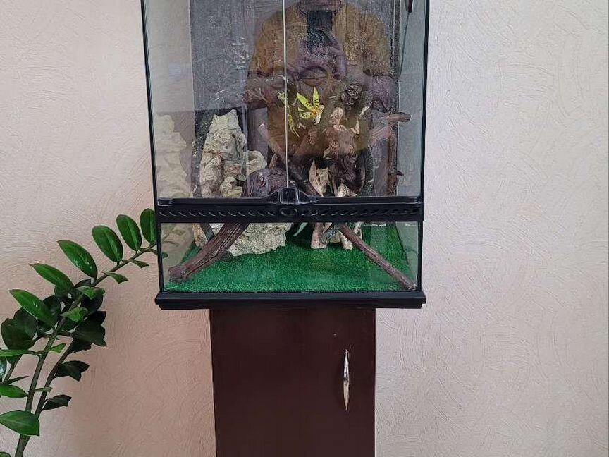 Террариум для рептилий