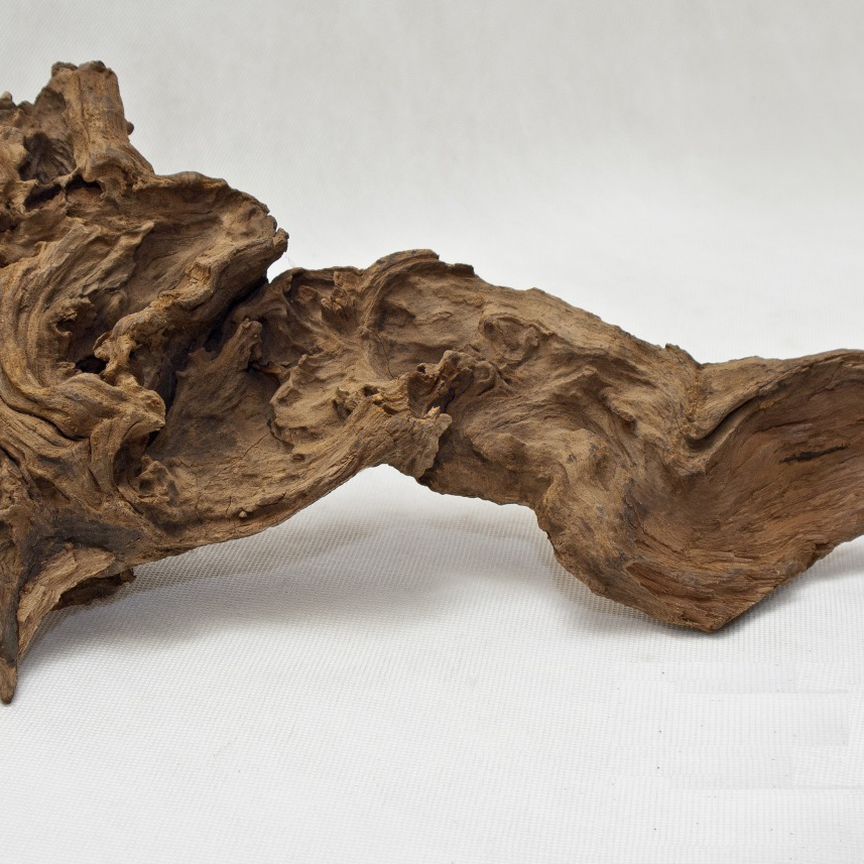 Коряга декоративная Саванное дерево