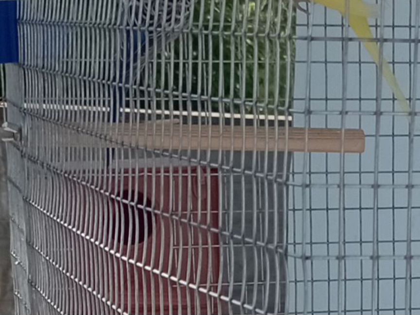 Продам пару волнистых попугаев с клеткой