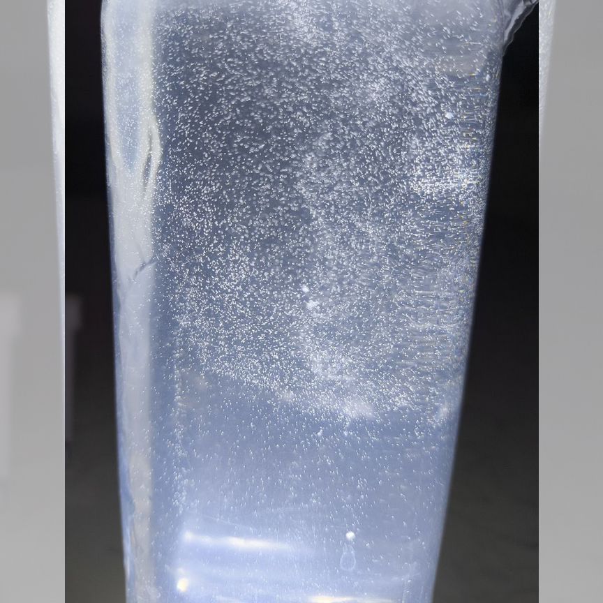 Стартовый корм для мальков рыб Инфузория туфелька