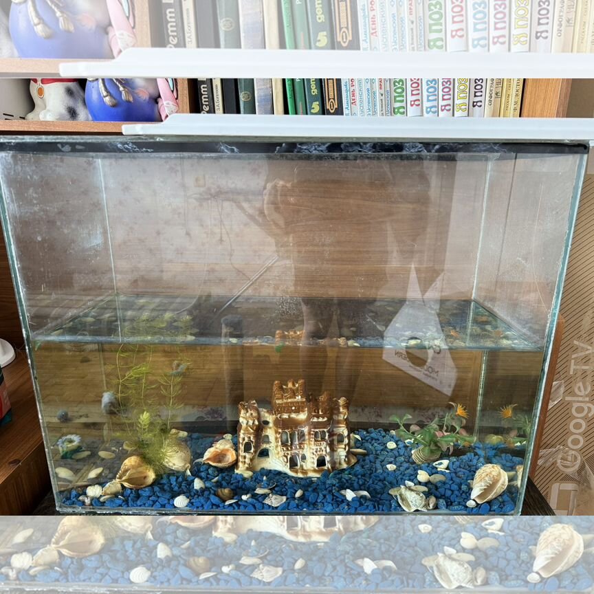 Аквариум на 50 литров с наполнением