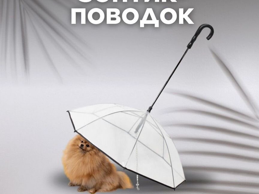 Зонтик поводок для животных
