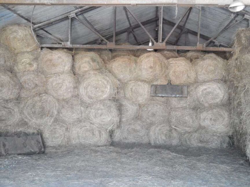Сено в рулонах