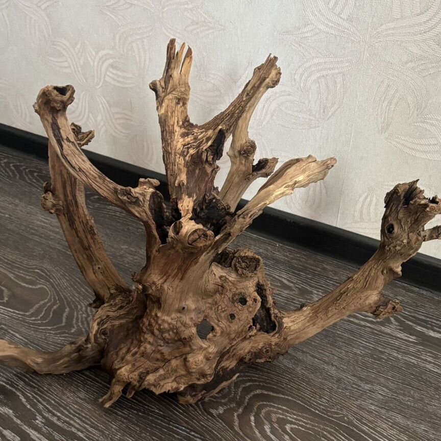 Коряга натуральная