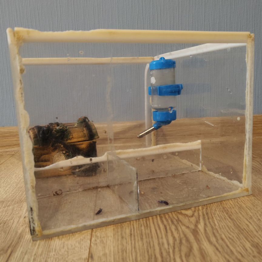 Клетка для грызунов или ящерицы