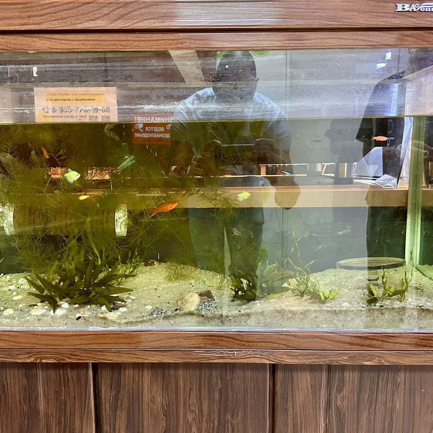 Аквариум с тумбой бу 400л