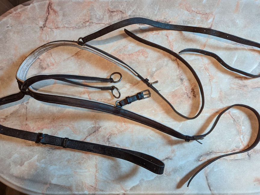 Мартингал с подперсьем, кожаный