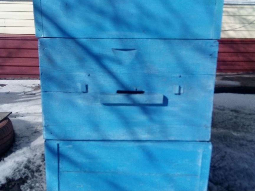 Улики для пчёл