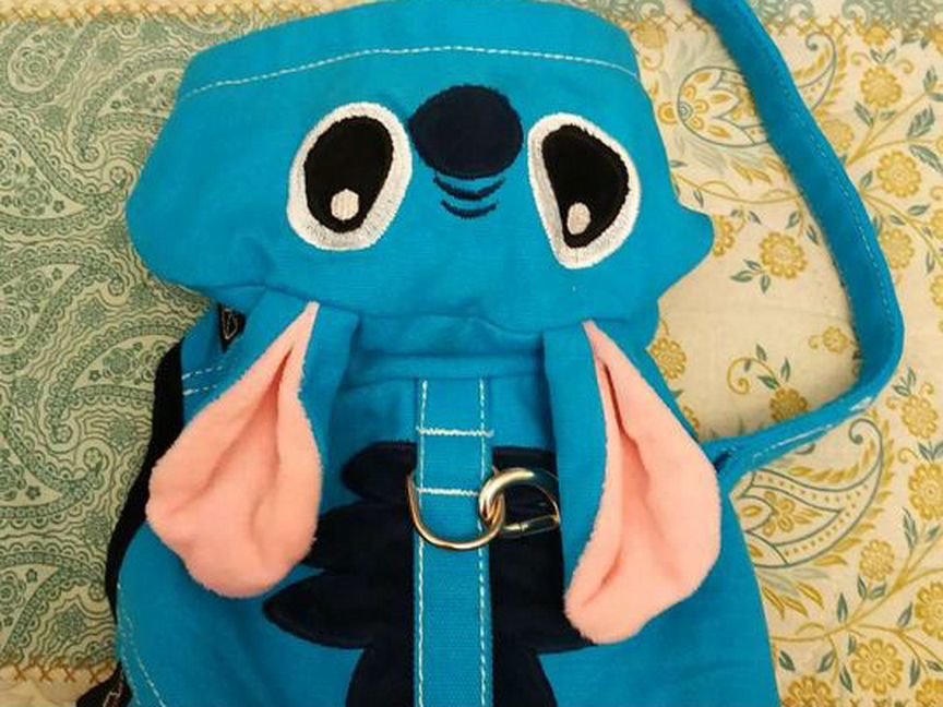 Шлейка жилетка disney и майка petmax для собачки