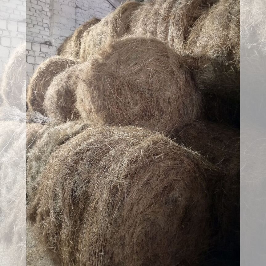 Продам сено в рулонах
