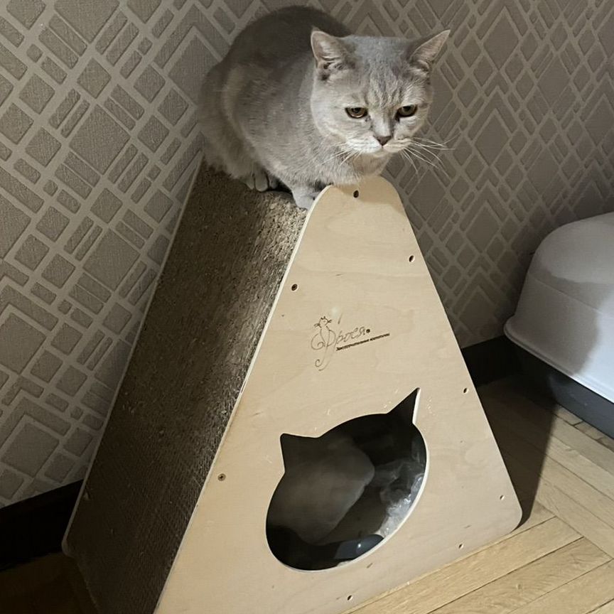 Когтеточка домик "Фрося"