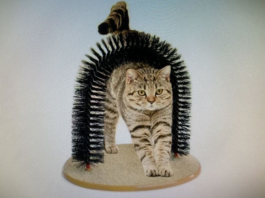 Когтеточки для кошек