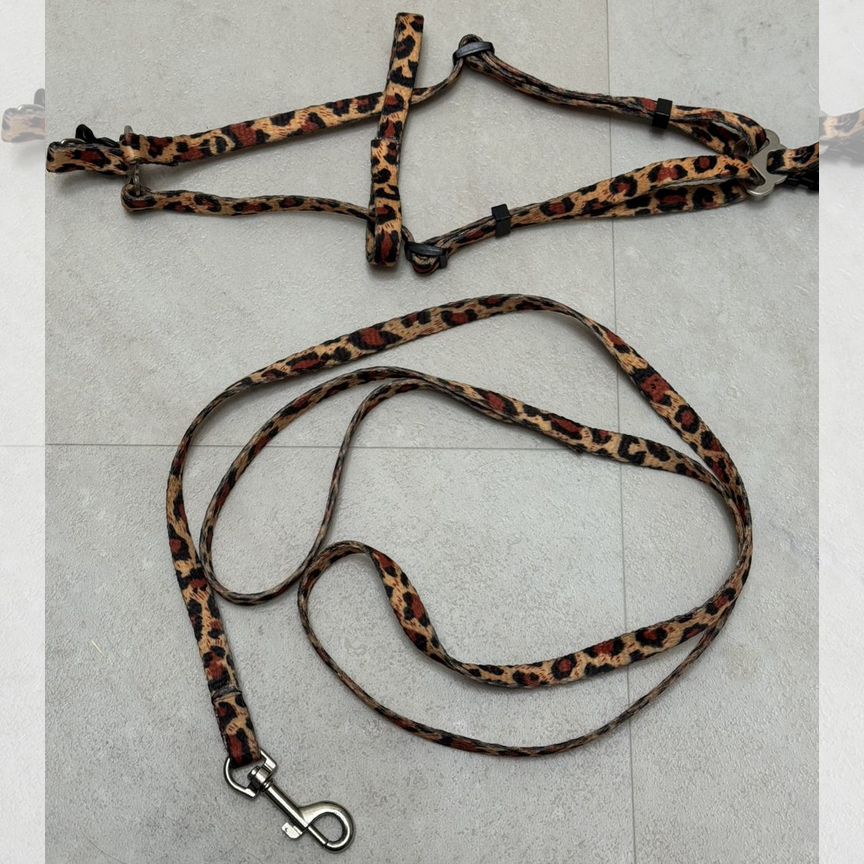 Шлейка для кошки или маленькой собаки