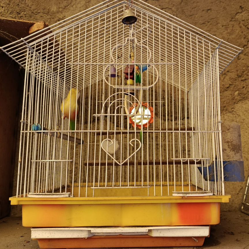 Клетка для птиц бу