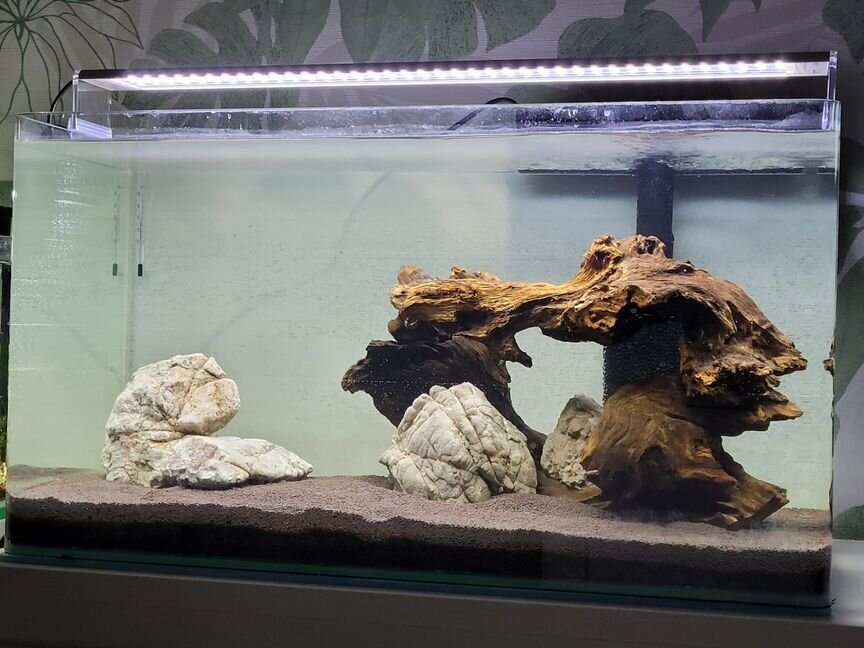 Аквариум с оборудованием