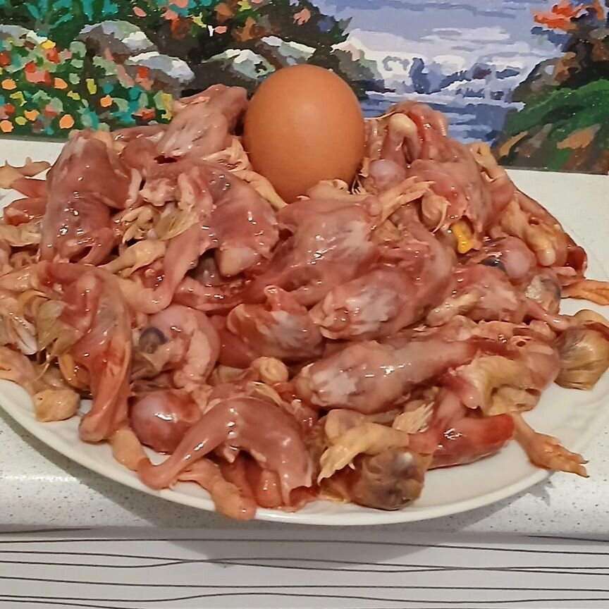 Товары для животных