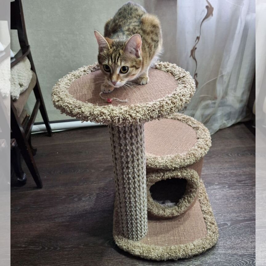 Домик для кошки с когтеточкой и лежанкой