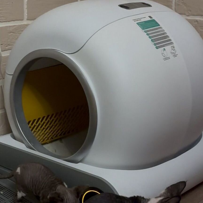 Автоматический ноток для кошек