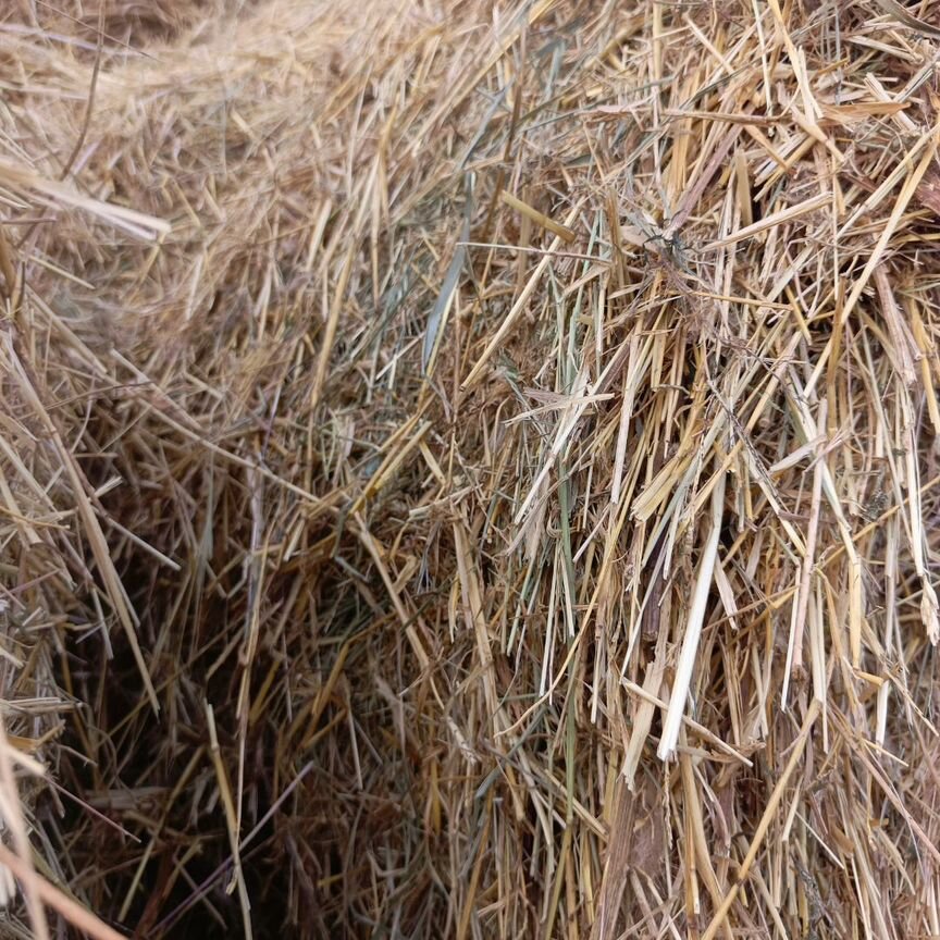 Солома в рулонах