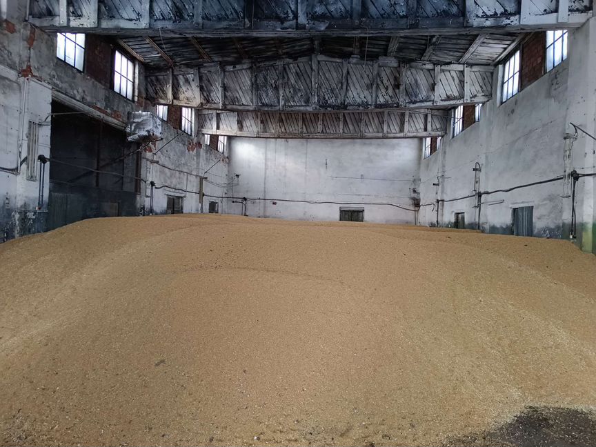 Ячмень Овес Кукуруза