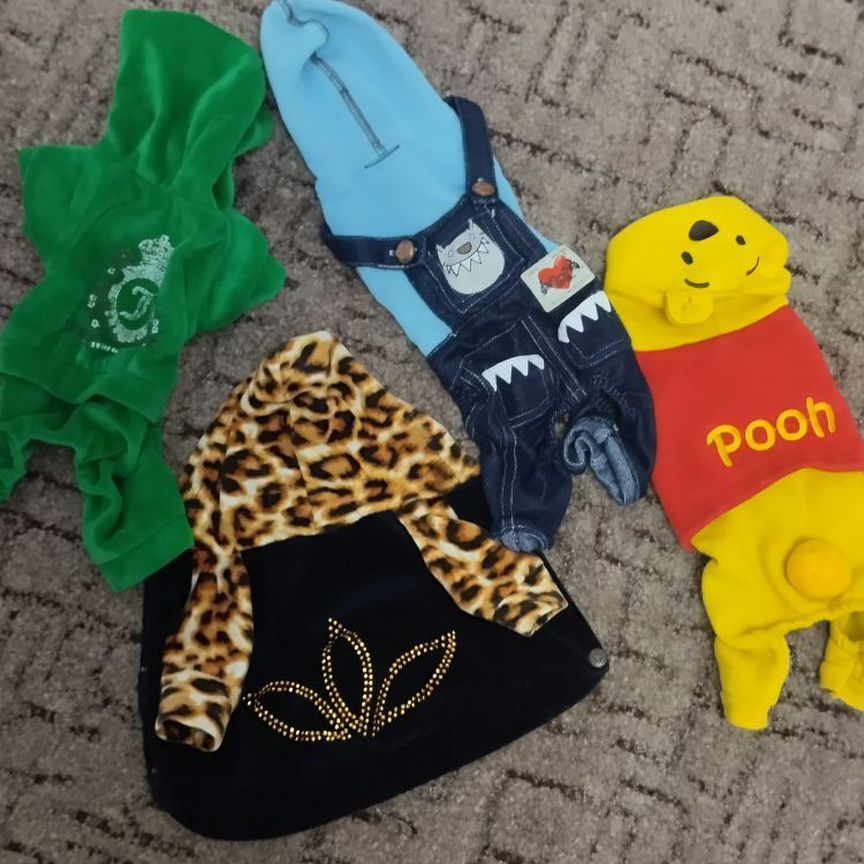 Одежда для маленьких собак