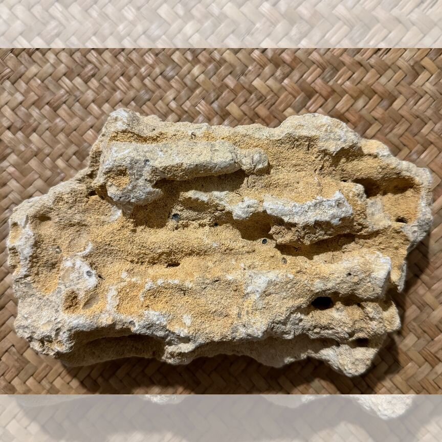 Крымский песчаник меотис в аквариум