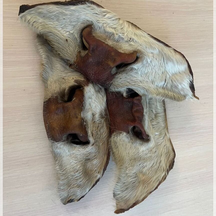 Игрушка-погрызушка для собак