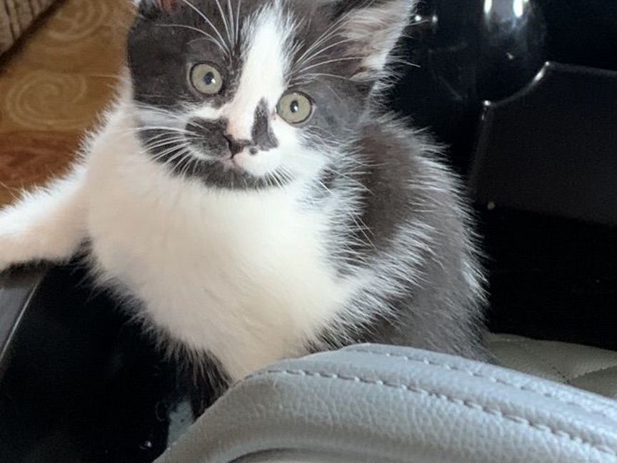 Малыши в надёжные руки