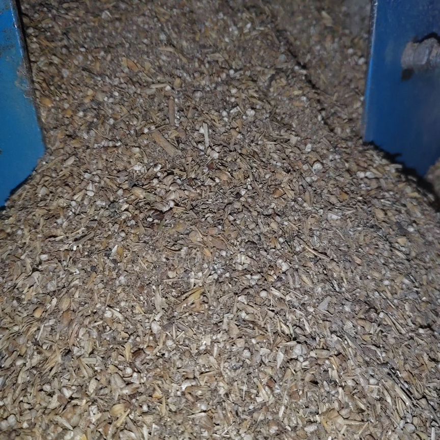 Дроблёный корм ячмень и пшеница