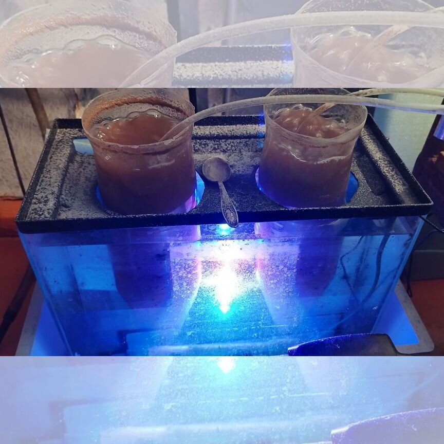 Инкубатор для выведения артемий