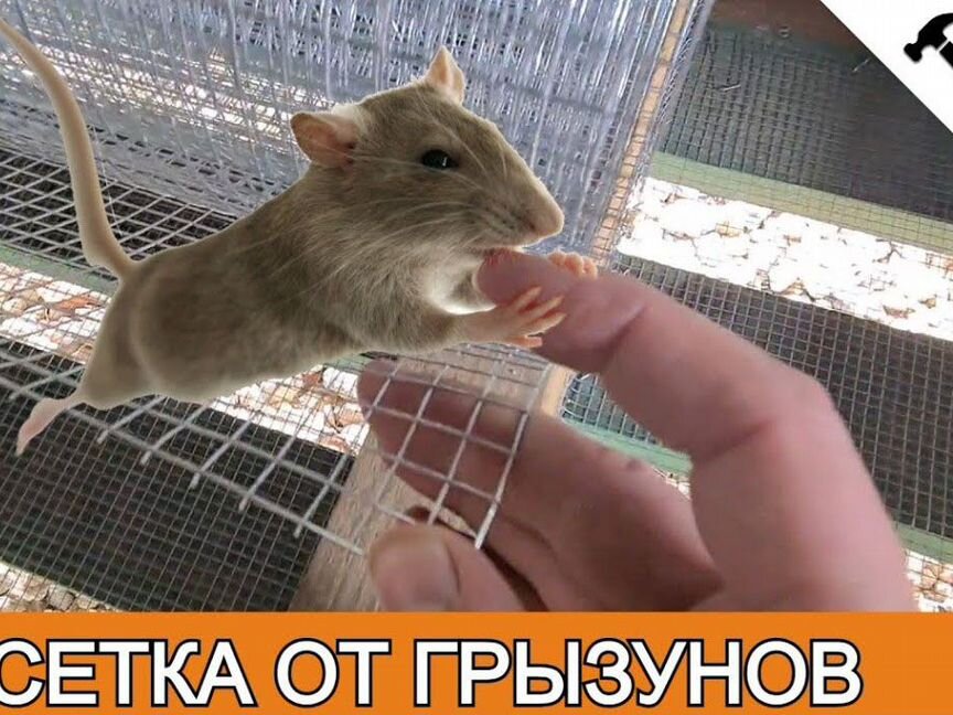 Сетка мелкая от мышей, грызунов