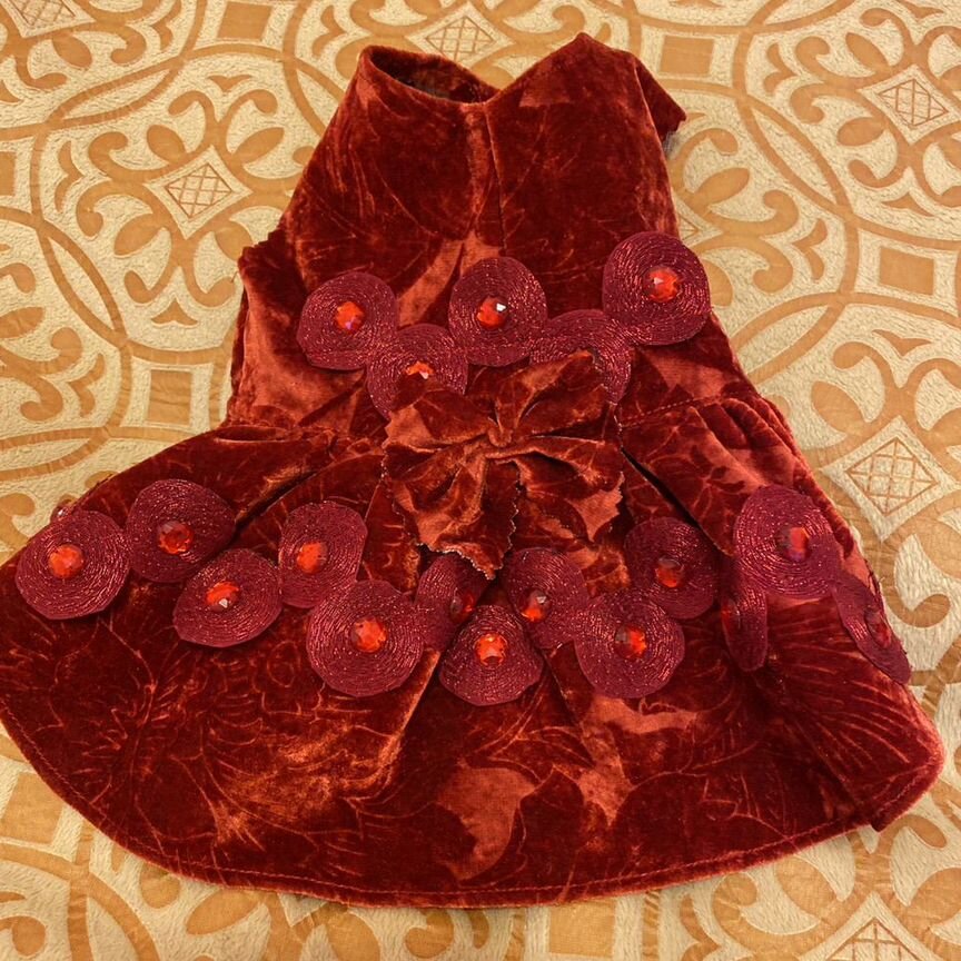 Йоркширский терьер, щенок