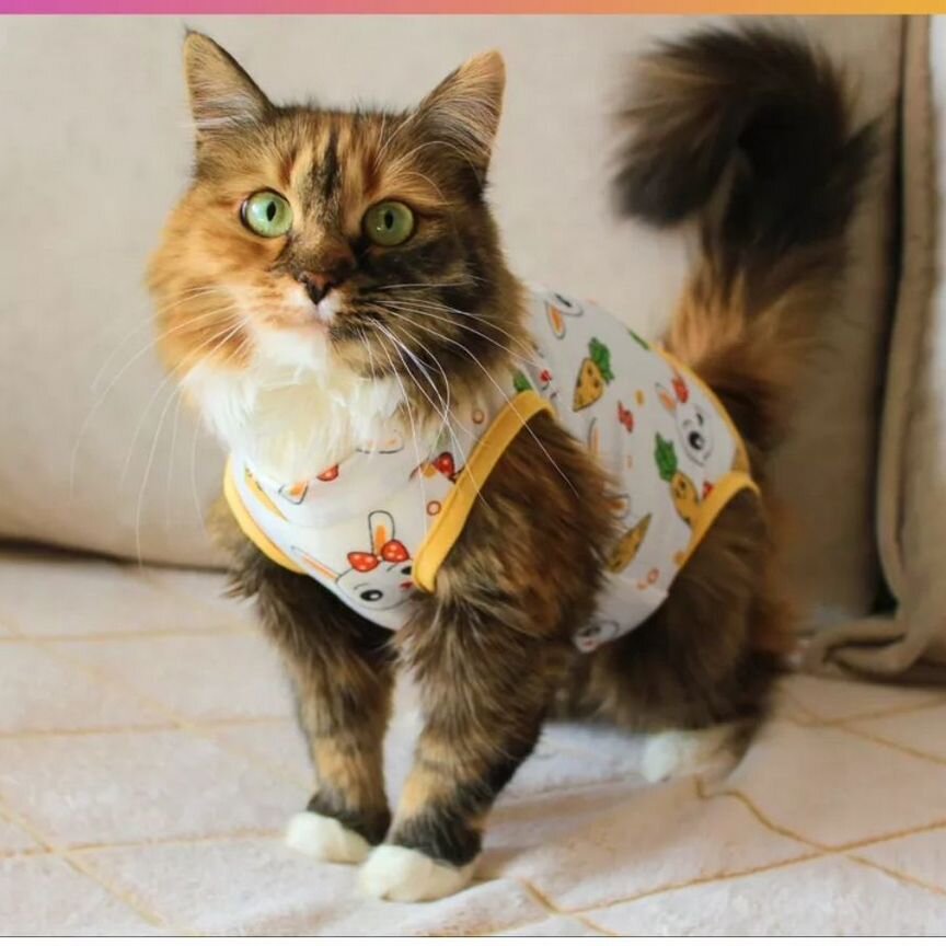 Попона для кошек