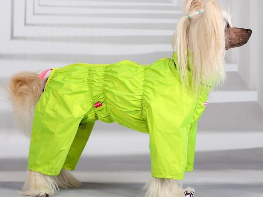 Дождевик и пижама для собак ForMyDogs