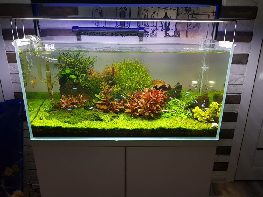 Светильник для аквариума chihiros