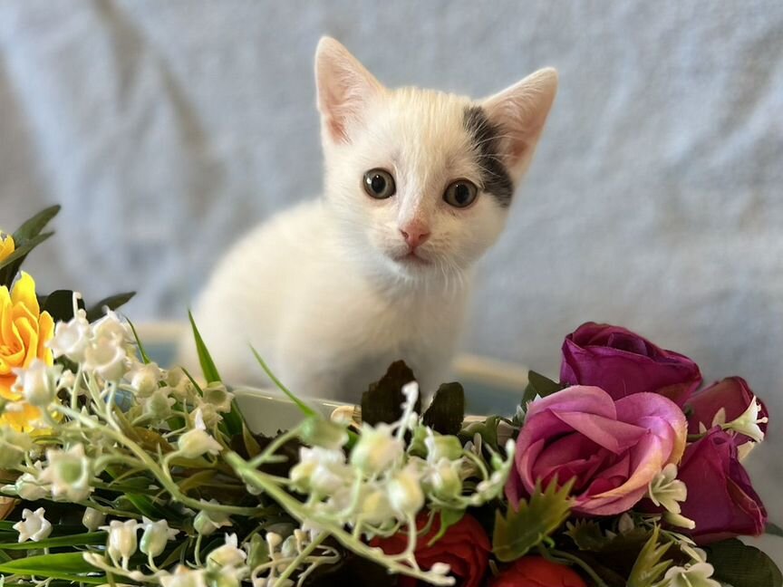 Мальчик красавчик