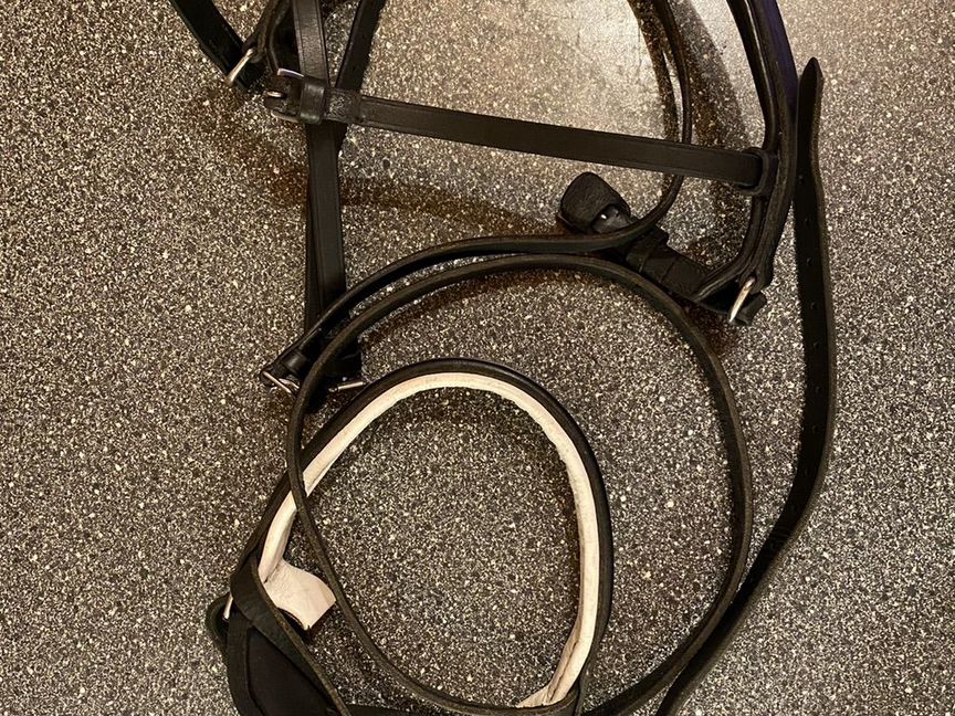 Капсюль для лошади