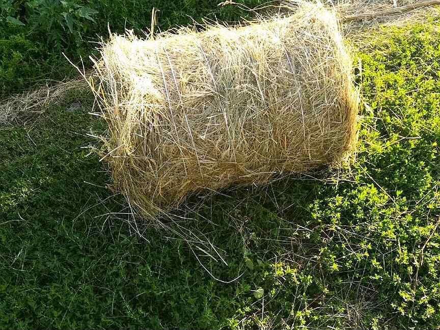 Сено в мини-рулонах/тюках