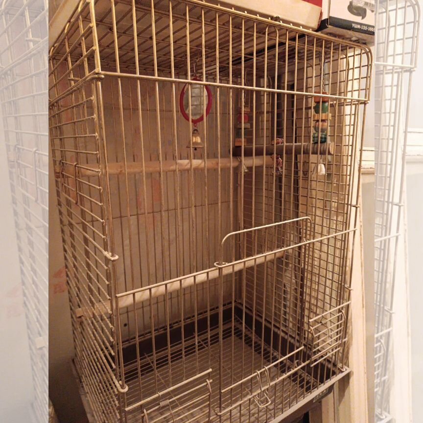 Клетка для крупного попугая