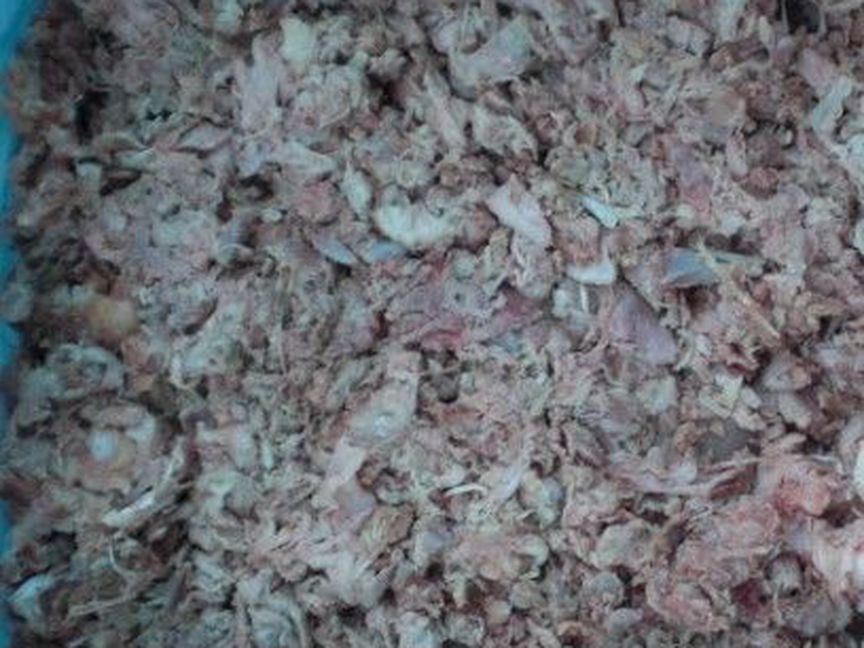 Костный остаток