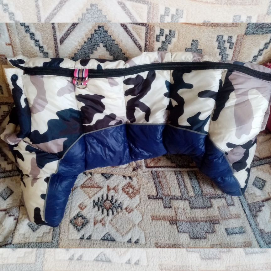 Одежда для собак