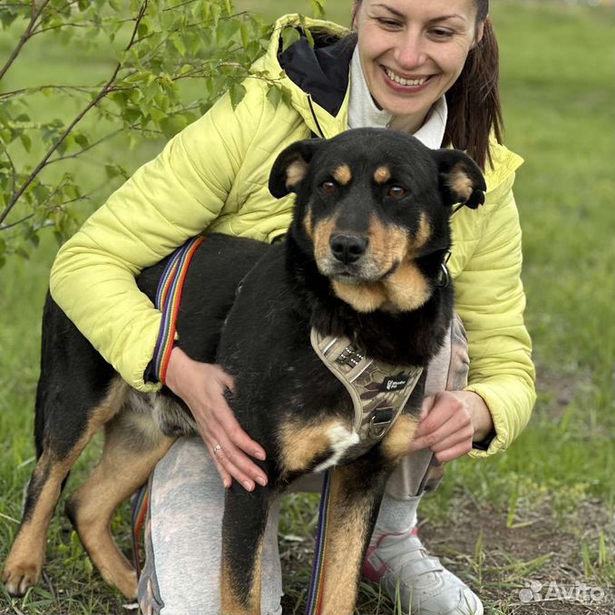 Особенный ласковый пёс из приюта