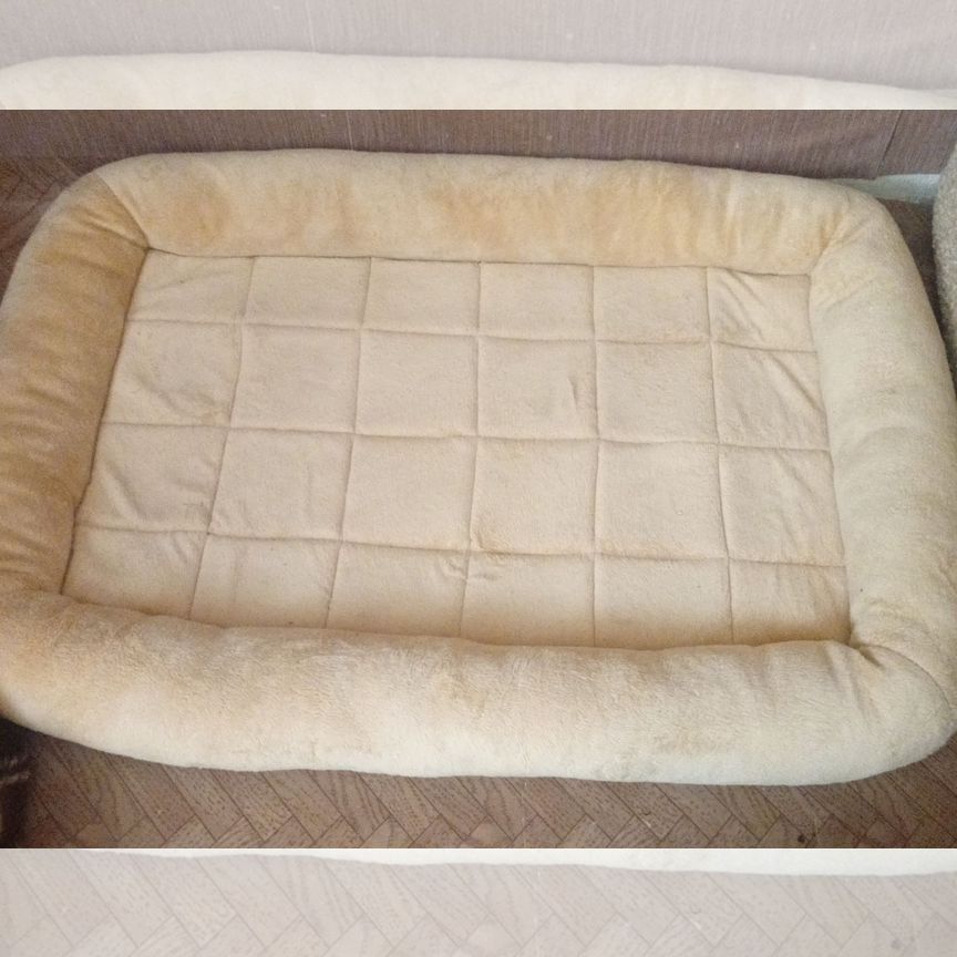 Лежанка для собак