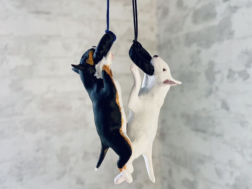 Бультерьер