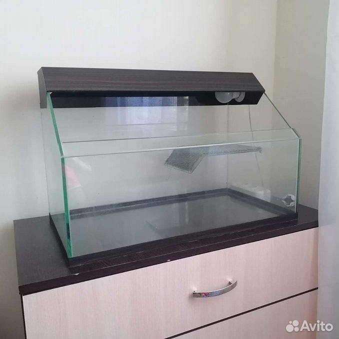 Черепашатник