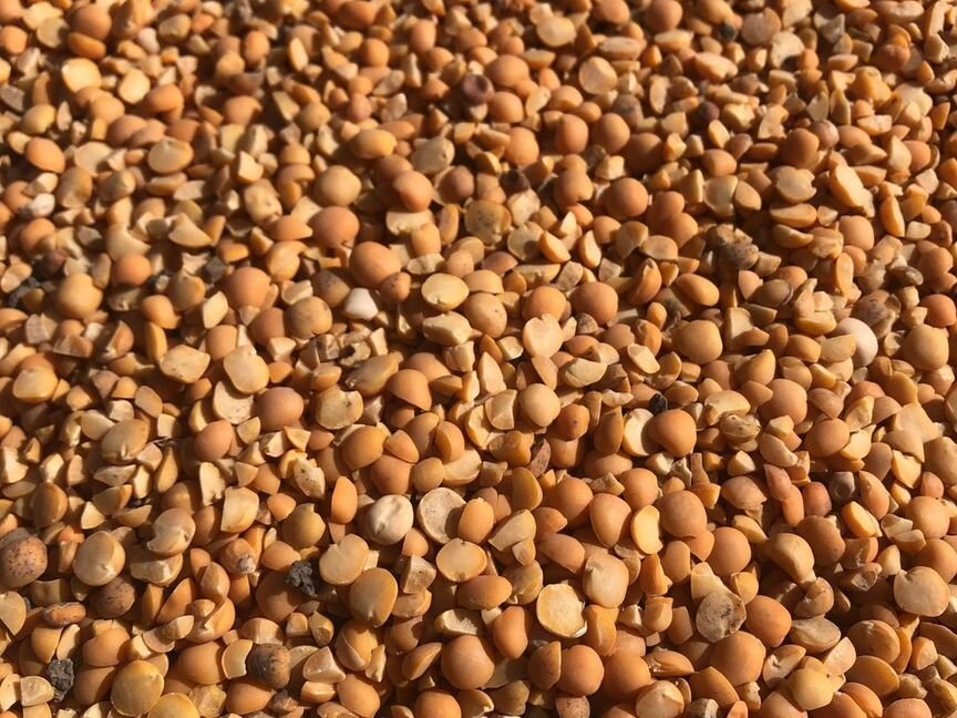 Половинки гороха